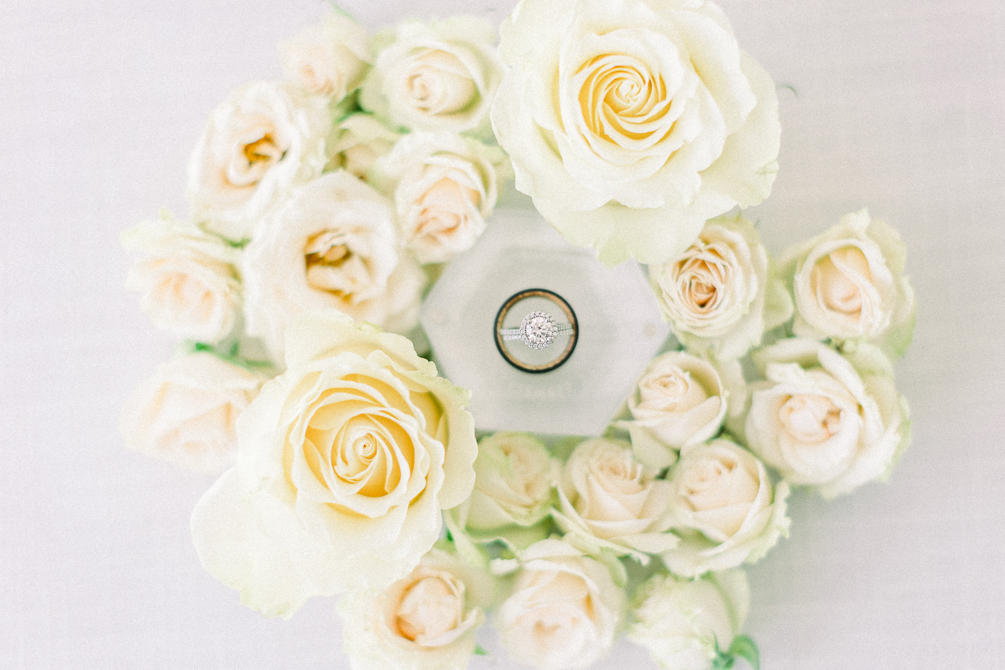 Brooklyn + Dylan | A Countryside Wedding at Marion Magnolia Farms