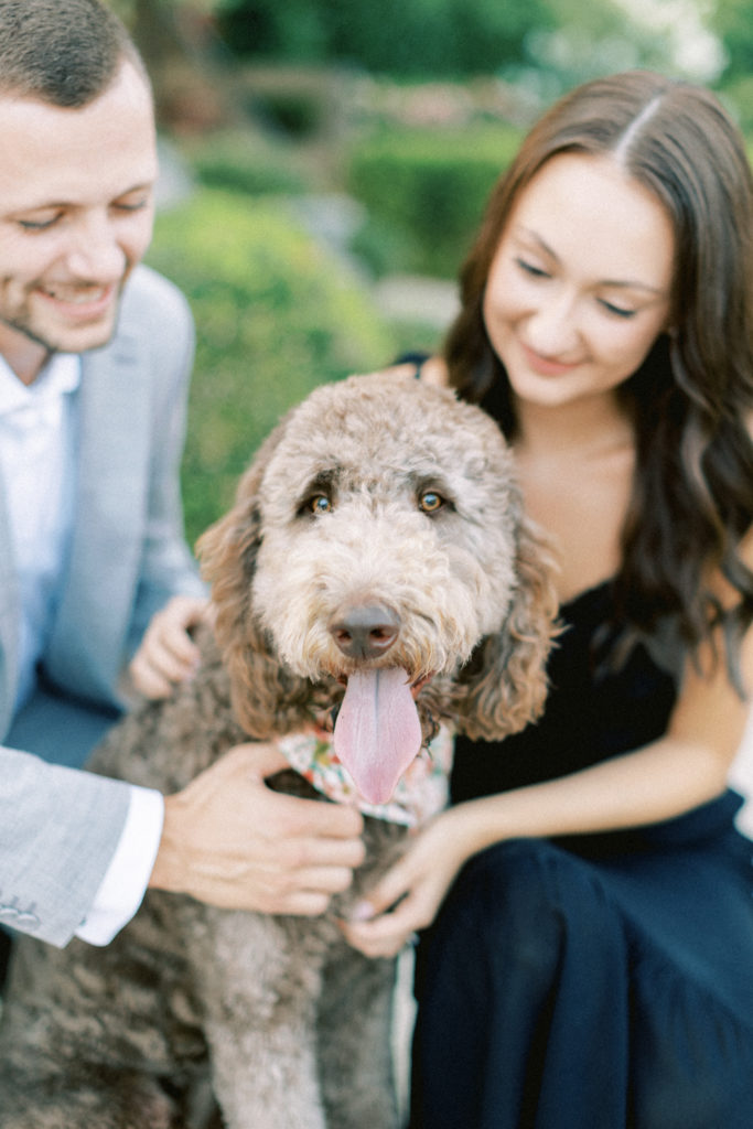 An Evening Engagement in the Historic German Village