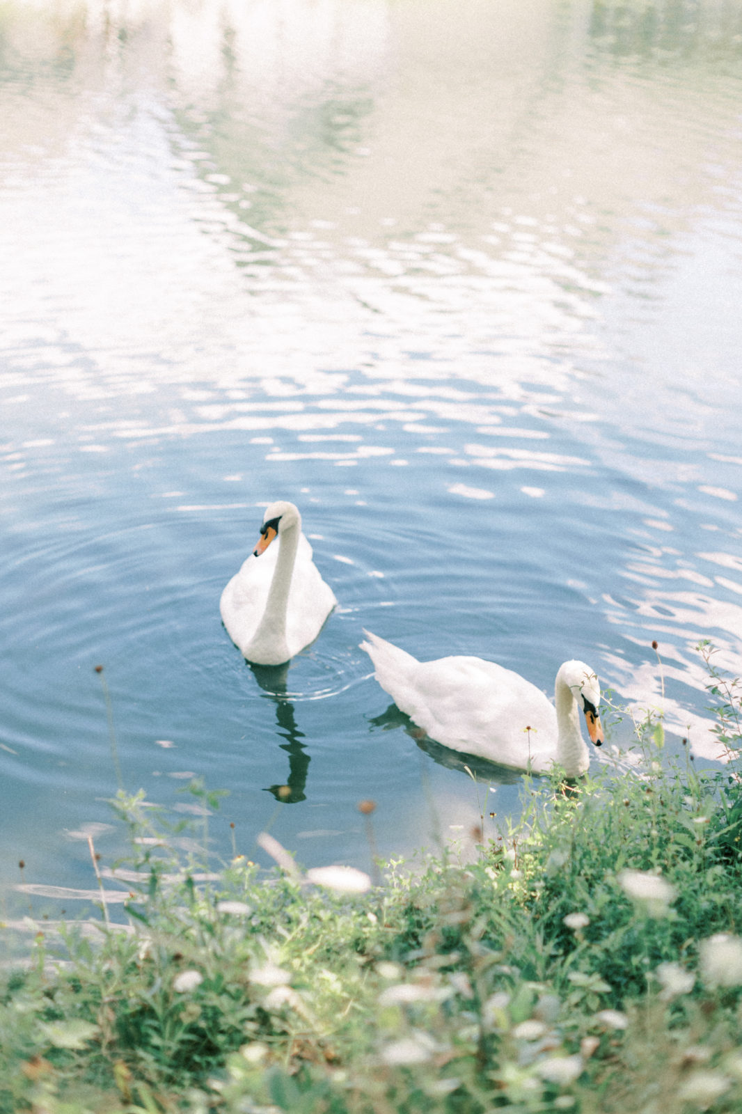 A Late Summer Wedding at Swan Lake Event Center | The Stranges