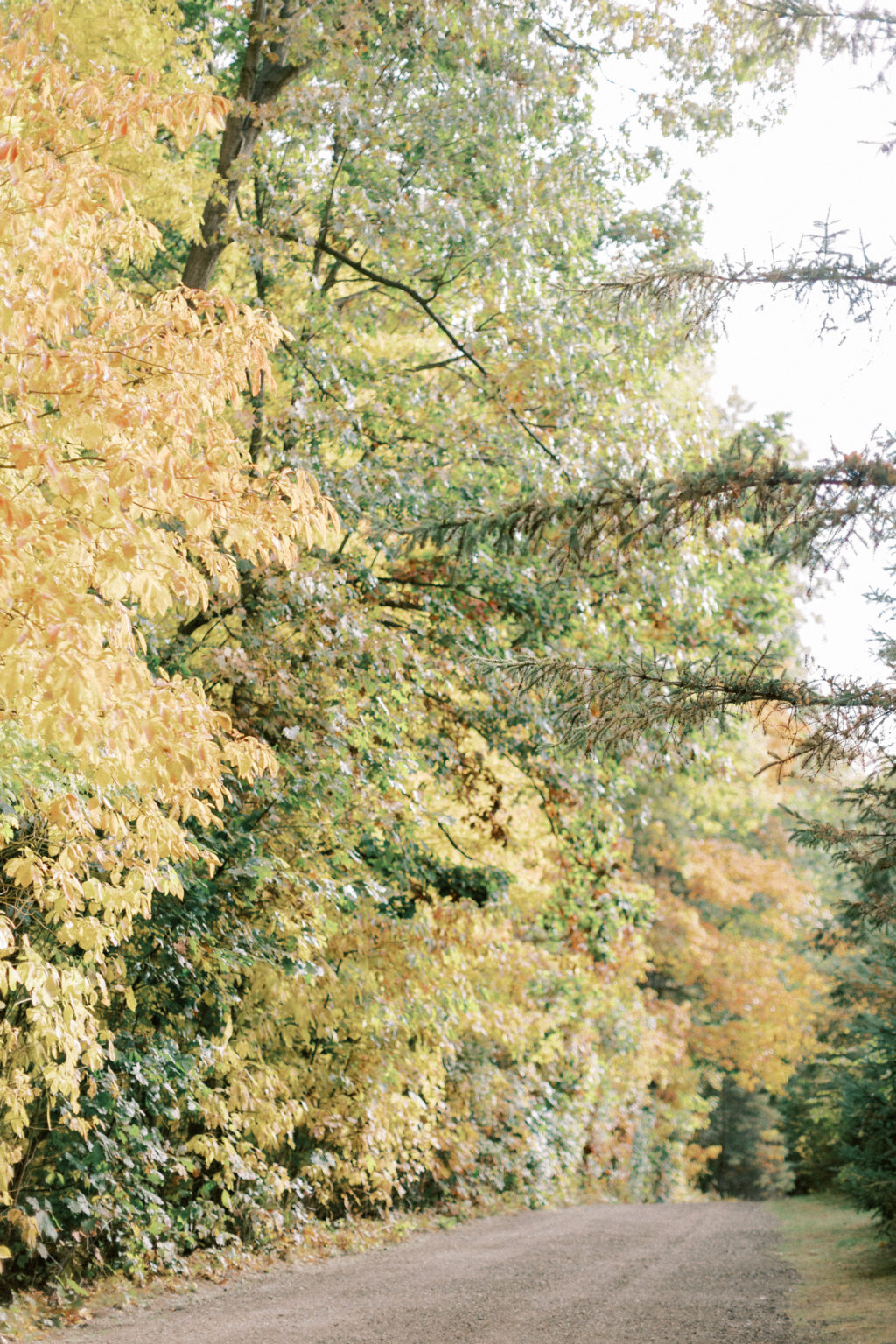 A Romantic Fall Wedding at Gable Hill | The Roth's